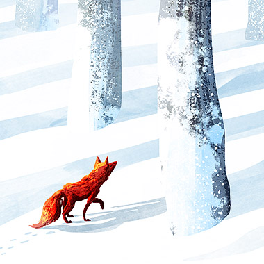 Paddy Donnelly ★ Picture Book Author & Illustrator